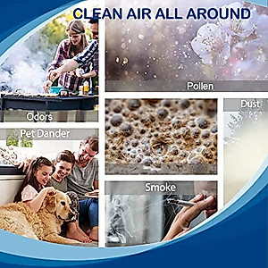 AP-1512HH True HEPA Filter Replacement Compatible with Coway AP-1512HH AP1512HH Mighty Air Purifier, AP-1512HH-FP, Item NO #3304899 2 Pack