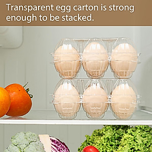 baflovga Egg Cartons Cheap Bulk 100 Pack, Eggs 6 Count, Plastic Egg Cartons Reusable with Egg Handling Instructions and Stickers, Half Dozen Eggs for Family, Chicken Farm, Market Display, 2x3Grids