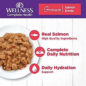 Wellness Complete Health Gravies Natural Grain Free Wet Canned Cat Food, Salmon Entree in Ample Gravy, 5.5 Ounces (Pack of 12)
