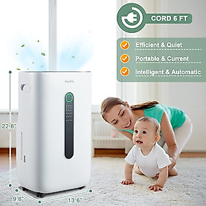 Sapodilla Dehumidifier for Basement, 50 Pints Dehumidifier for 3000 Sq.Ft, 1.72 Gallon Water Tank with Drain Hose, Auto or Manual, Portable Home Dehumidifier for Large Room Bedroom Bathroom Laundry