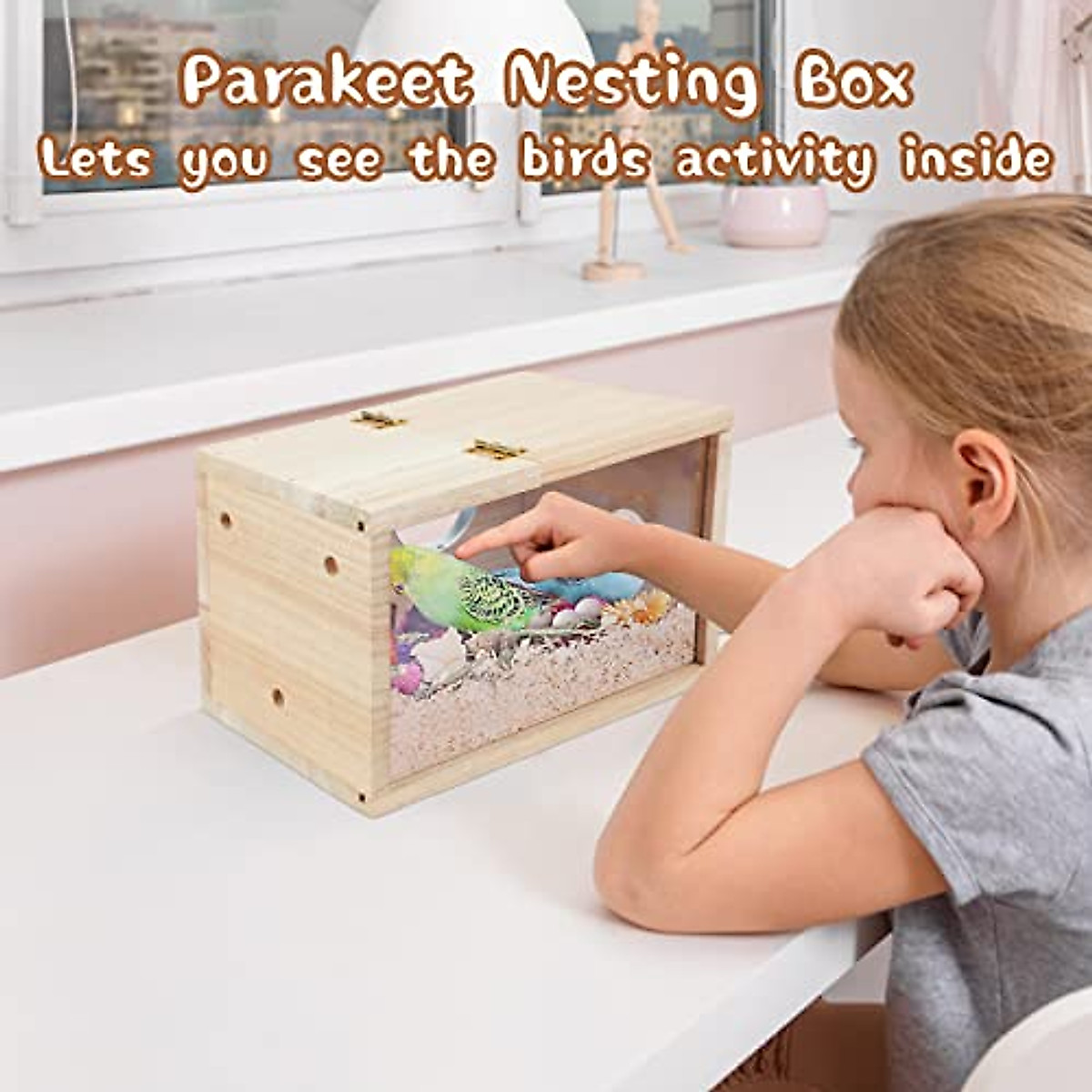 GINDOOR Parakeet Nesting Box Transparent Bird House for Cage Natural Wood Breeding Box for Parrot Parakeet Cockatiel Lovebirds Budgie Conure and Other Small Birds