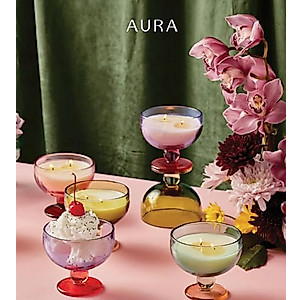 Paddywax Scented Candles Vintage Glass Aura Collection Soy Wax Blend 2-Wick Candle, 6-Ounce, Pepper & Plum