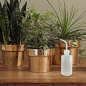 ZOND 3 Pack 250ml Succulent Water Bottle, Bonsai Watering Bottle, Squeeze Bottle for Multi-Purpose Makeup Liquids