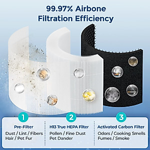 Fil-fresh Core 200S Replacement Filter Compatible with LEVOIT Core 200S Air Purifier, H13 True HEPA Filters and Activated Carbon, Replace Core 200S-RF, Fit Levoit Core 200s Replacement Filter, 2-Pack