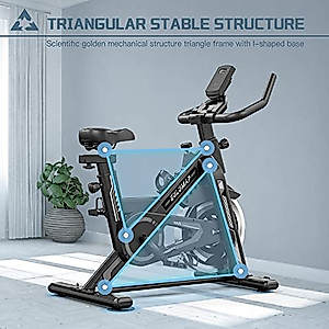 eulumap Exercise Bike - Stationary Indoor Cycling Bike for Home GYM with Tablet Holder and LCD Monitor,Silent Belt Drive,Comfortable seat and quiet flywheel(Grey)