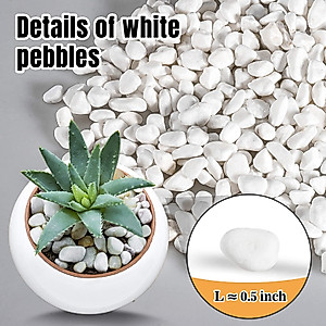 Sukh White Pebbles for Plants - Mini Decorative Rocks White Stones Garden Landscaping Fish Tank Vase Filler Cactus Succulents Aquariums Bonsai White Rock Nearly 400g