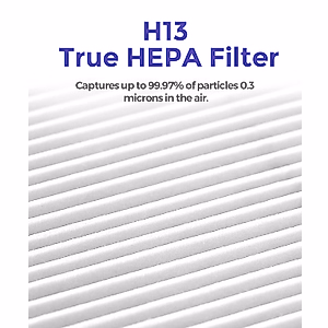 ROSEKM 1-Year Pack Air Purifier Replacement Filter for AP001R, True HEPA Filter, 4 Pack