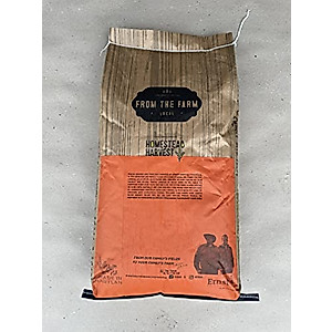 Homestead Harvest Ernst Grain Black Oil Sunflowers, Non-GMO (40 lb)