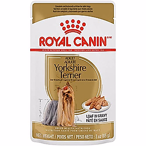 Royal Canin Yorkshire Terrier Adult Breed Specific Wet Dog Food, 3 oz 12-pack