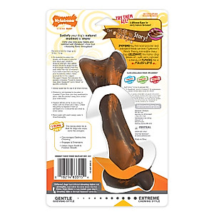 Nylabone Flavor Frenzy Strong Chew Toy Dog Toy Meatloaf & Gravy Medium/Wolf (1 Count)