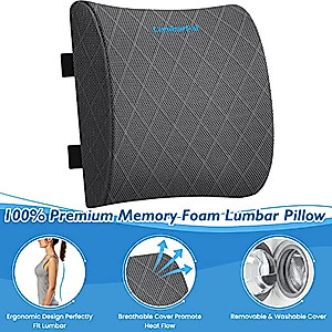 LumbarPal Lumbar Support Pillow for Office Chair Back Support Lumbar Pillow for Car, Gaming, Office Chair - Improve Sitting Posture & Back Pain Relief, Memory Foam, Adjustable Straps, Grey