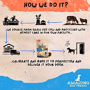 Amazing Dog Treats - Lamb Horn (5 Count) Lamb Horn Antler Dog Chews - Horn Bones for Dogs - Long Lasting Horn Dog Chews