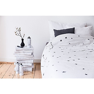 Montana Cans Montana Effect 400 ml Marble Color, White Spray Paint, 13.5 Fl Oz (Pack of 1)