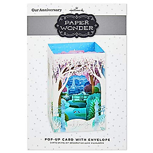 Hallmark Paper Wonder Displayable Pop Up Anniversary Card (Paris) (899RZW1009)