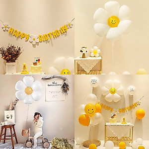 Daisy Party Decorations Set Boho Party Decorations with Happy Birthday Banner Boho Groovy Daisy Flower Balloon Garland Arch for Daisy Retro Hippie Boho Birthday Party Decorations,Groovy Party Supplies