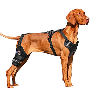 Virbraroo Dog Leg Brace for Torn Acl Hind Leg,8X Support Dog Knee Brace with Metal Strips for Joint Pain Relief, Rear Leg Brace with Adjustable Traction Belt for Cruciate Ligament Injury (L)