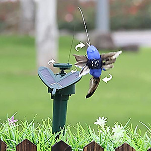 Hummingbird Solar Garden Dancing Decor Hummingbird Solar/Battery Powered Decoration & Hangs Large Glass Vases Floor Standing (A, One Size)