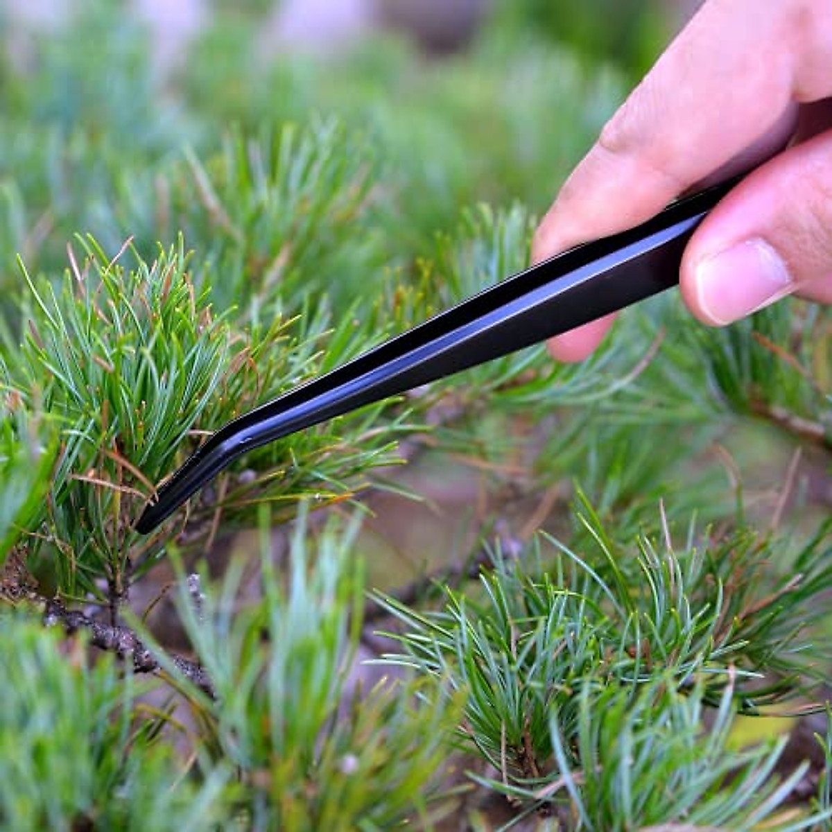 KAKURI Bonsai Tweezers Curved Serrated Tips with Spatula 8.8" Professional Bonsai Tool, Japanese Stainless Steel Black Coated, Made in JAPAN