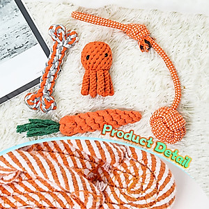 SIT ZIT 6 Pack Ferret Toys Durable Knotted Rope Tug Perfect for Teething Mammals Cotton Rope Chew Toys Interactive Dog Rope Toy Set Machine-Washable