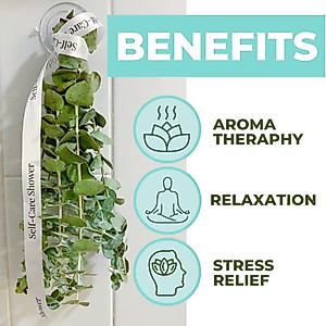 Self Care Shower Eucalyptus Fresh USA [Hanger Included] 10" Mini Bunch Live & Natural for Shower in Bathroom Leaves Greenery Stems Lavender Shower Plant, Fragrance, Decor