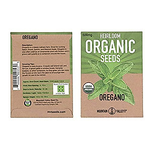 Oregano Herb Garden Seeds - Common Italian - 500 mg Packet - Non-GMO, Certified Organic Oregano Herbal Spice Gardeing Seed