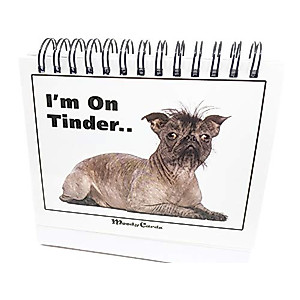 Office Gift for Dog Lovers - Moodycards! Make Everyone Laugh with These Adorable and Hilarious Dog Memes - Let The Dogs Tell Everyone How You Feel! A Terrific Office Gift! 25 Different Moods