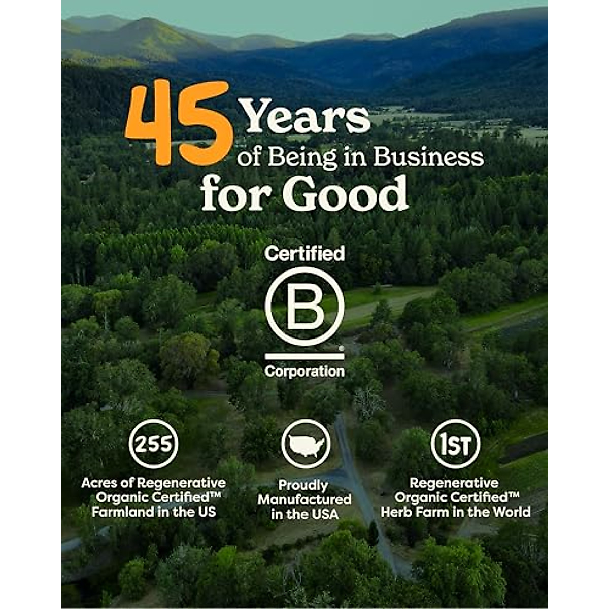 Herb Pharm Brain and Memory Liquid Herbal Formula with Ginkgo for Memory and Concentration, 4 Fl Oz