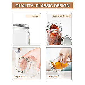 TANGLONG Mason Jars 8 oz Set of 24,Small Mason Jars,Spice Jars,8 oz Mason Jars with Lids,Small Jars with Lids,8 oz Glass Jars,Small Glass Jars with Lids
