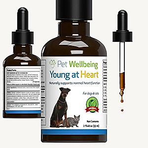Pet Wellbeing Young at Heart for Cats - Vet-Formulated - Supports Cardiovascular (Heart & Circulatory) Health - Natural Herbal Supplement 2 oz (59 ml)