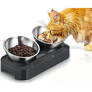 PewinGo Raised Cat Bowl with Stainless Steel, Non-Slip Silicone Mat & Raised Cat Feeder with 15° & 0° Tilting Neck Protective Bowl for Pets, Cats Food and Water Feeding