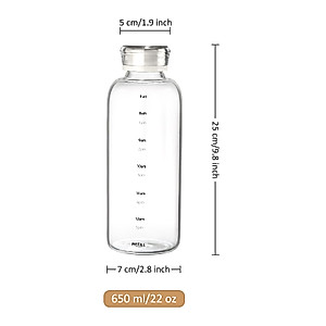 Joeyan 22 oz Glass Water Bottle with Straw and 2 Lids,Drinking Jars with Cleaning Brush Sleeve and Time Marker,Clear Tumbler,Leakproof Iced Coffee Cup,Large Smoothie Boba Tea Glasses,Dishwasher Safe