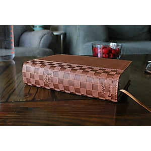 NIrV, Giant Print Compact Bible, Leathersoft, Brown, Comfort Print