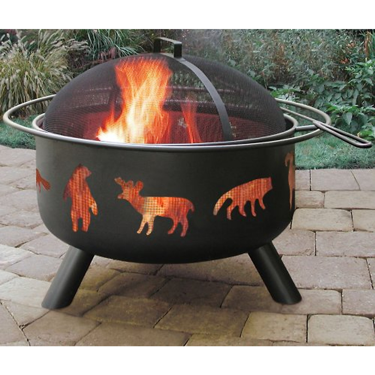 BS Wildlife Fire Pit