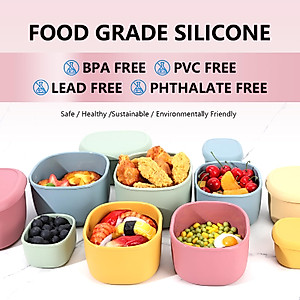 AOEDEO 4Pcs Silicone Food Storage Containers with Lids，BPA Free Reusable Silicone Storage Containers for Food Silicone Freezer Containers Freezer Dishwasher Safe (33.8oz, 20oz, 10oz, 6.7oz) (pink)