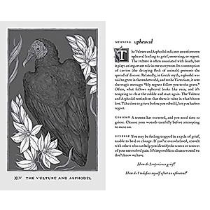 Woodland Wardens: A 52-Card Oracle Deck & Guidebook