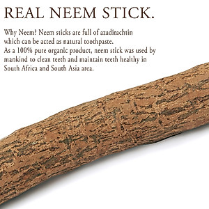 aiminto Neem Stick for Dog Chew, 100% Organic, Natural Toothpaste, Teething, Dental Care, (Large Dog >44LBs, Pack of 3 Pieces)