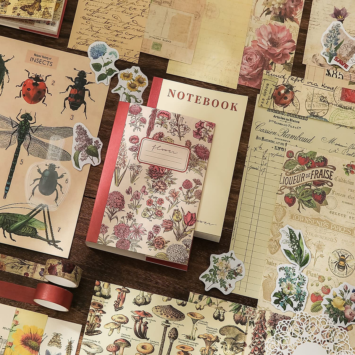 emmoolife Vintage Aesthetic Scrapbooking Supplies Kit, Flowers Botanical Bullet Junk Journal Kit with Journaling Supplies, Tweezers, A6 Grid Notebook,Stationery,Sticker, Birthday Craft Gift for Adult