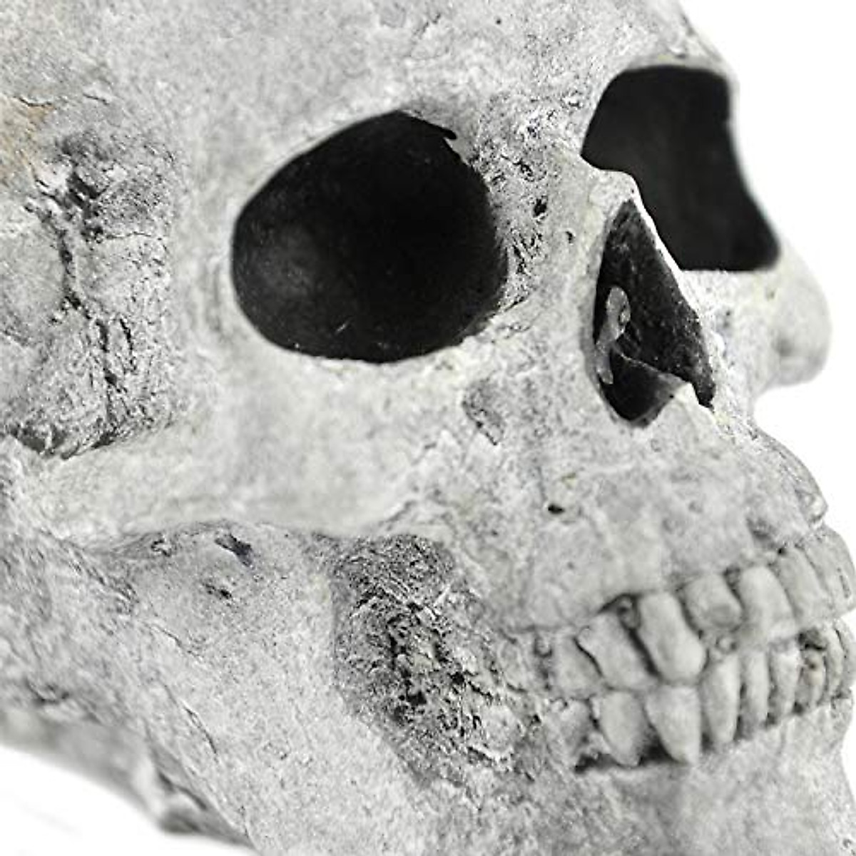 Myard Fireproof Imitated Human Fire Pit Skull Gas Log for NG, LP Wood Fireplace, Firepit, Campfire, Halloween Decor, BBQ (Qty 1, White - Mini, One Piece)