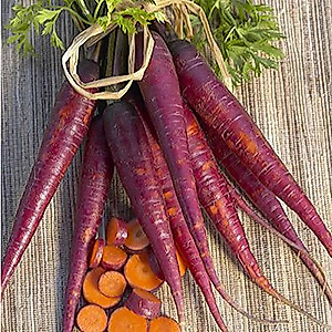 Purple Carrot Garden Seeds - 1 g ~600 Seeds - Heirloom, Non-GMO, Vegetable Garden & Microgreens Seed