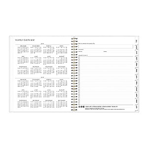 2023-2024 Blue Sky™ Weekly/Monthly Planning Calendar, 8" x 10", Moons Blush Frosted, July 2023 to June 2024, 144273