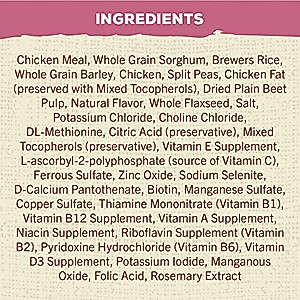 NUTRO MAX Adult Mini Chunk Recipe Dry Dog Food With Farm-Raised Chicken, 25 LB Bag