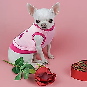 8 Pieces Pet Shirts Printed Puppy Soft Dog Shirt Pullover T Cute Sweatshirts Valentine's Day Girl Clothes Outfits Small for Dogs Cats (Vivid Pattern,Size S)