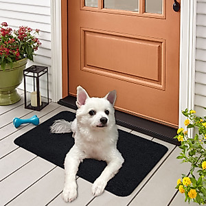 K&janet6am Door mat Indoor Rug Inside Front Entrance, 27.5x17.7 Inches, Durable Floor Mat Non Slip Rug Ultra Absorb Mud, Low Profile Front Back Door Rug for Entryway, Black