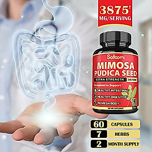 Natural Mimosa Pudica Seed Capsules - 7 Herbs - Equivalent to 3875mg with Oregano, Garlic, Neem Leaf, Black Walnut Powder, Clove Powder, Guduchi Powder - 1 Pack 60 Capsules for 2 Months