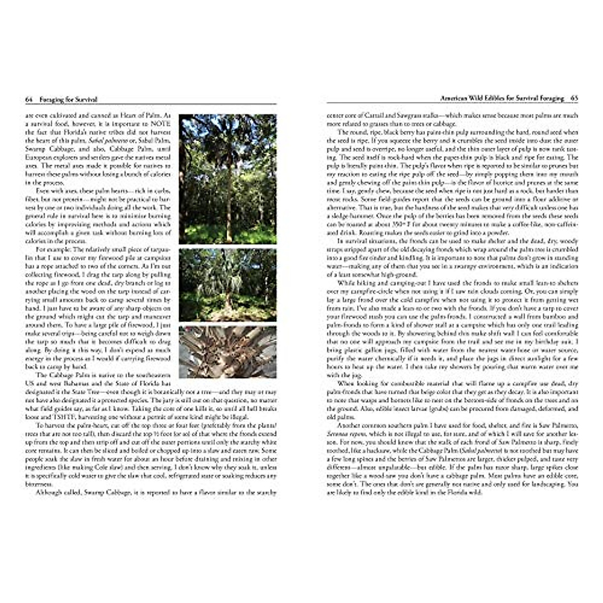 Foraging for Survival: Edible Wild Plants of North America