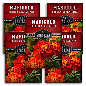 Survival Garden Seeds - French Sparky Marigold Seed for Planting - 5 Packs with Instructions to Plant and Grow Large Tagetes Patula Flowers in Your Home Vegetable Garden - Non-GMO Heirloom Variety