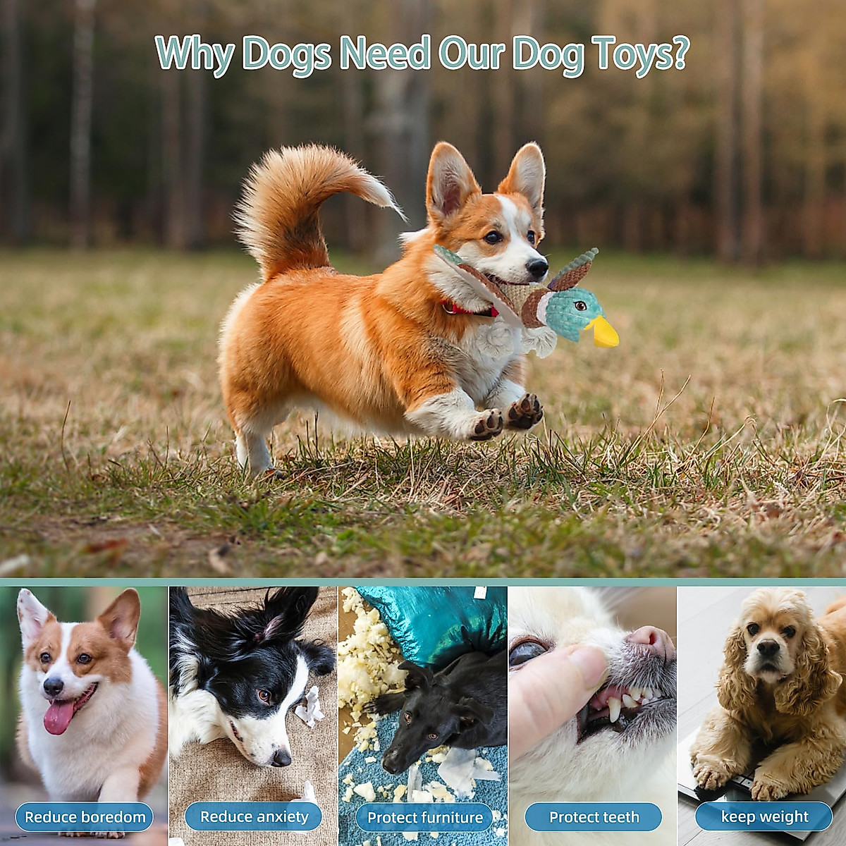 Stuffed Plush Dog Toys for Medium Dogs Squeaky Dog Toys for Dogs Squeaky Plush Dog Toys for Medium Dogs Small Dogs for Teething