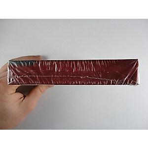 Bomberman Max 2: Red Advance