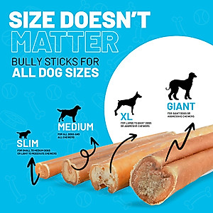 Sitka Farms Bully Sticks Slim 12 inch - 10 Count - Bully Sticks for Dogs - All Natural Long Lasting Dental Treats for Large Medium and Small Dogs, Collagen Chews for Dogs