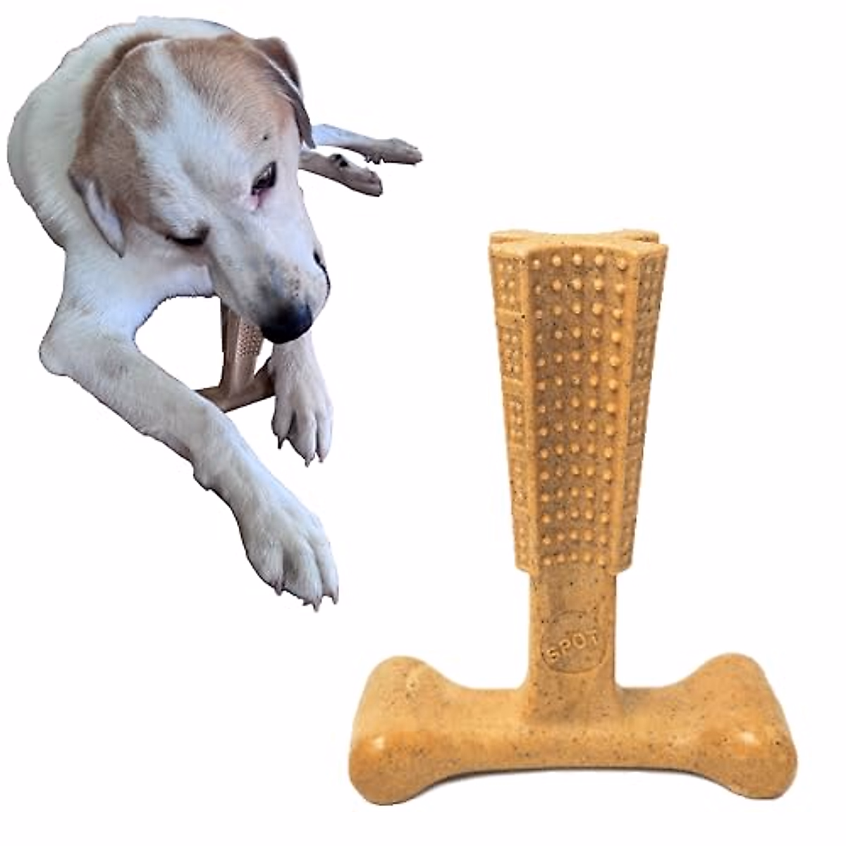 SPOT Bam-Bones Plus T Bone - Bamboo Fiber & Nylon, Durable Long Lasting Dog Chew for Aggressive Chewers – Great Toy for Adult Dogs & Teething Puppies Under 90lbs, Non-Splintering, 7in Chicken Flavor